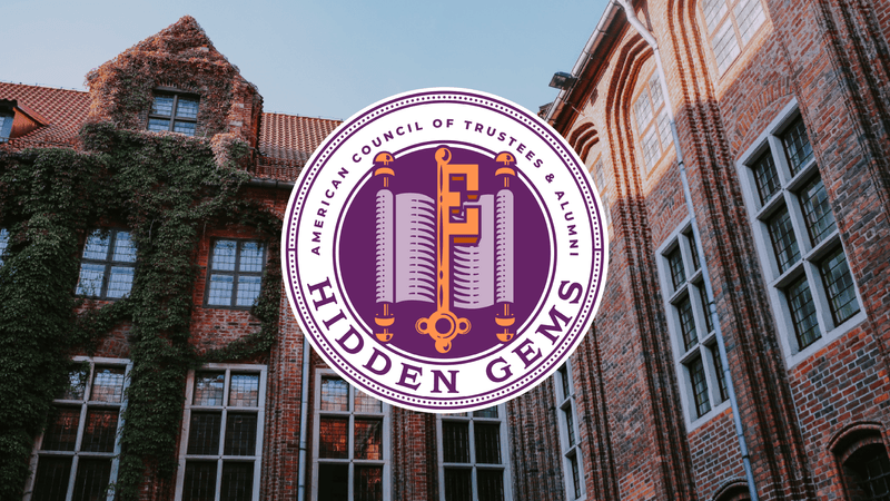 Siena Mara Design | Hidden Gems Branding